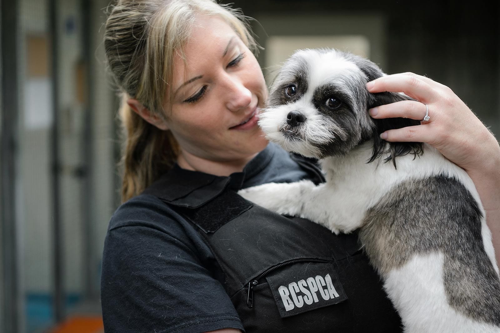 West Vancouver SPCA Branch – WestVancouver.com – West Vancouver, BC